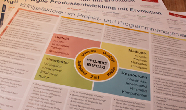 Poster Erfolgsfaktoren im Projekt- / Programm-Management - Ervolution